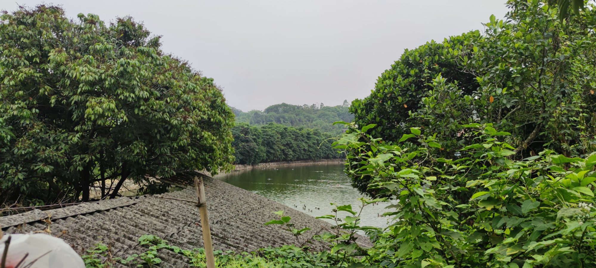 Benoy wins the "International Competition on Landscape and Function ...