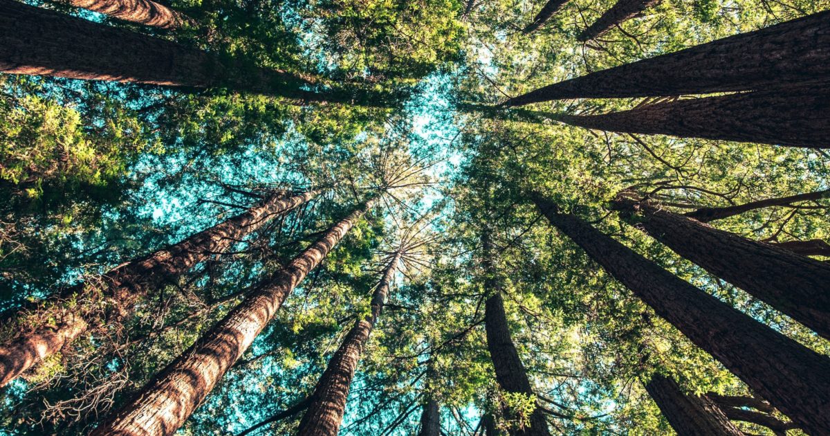 Benoy Landscape Architecture announces new sustainability framework | News