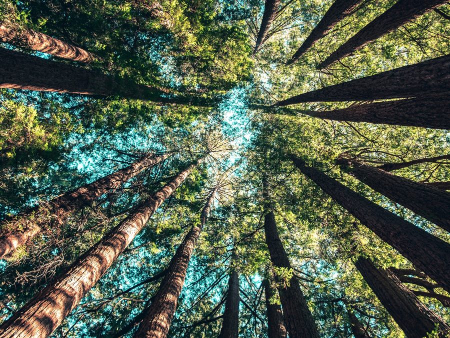 Education | Benoy