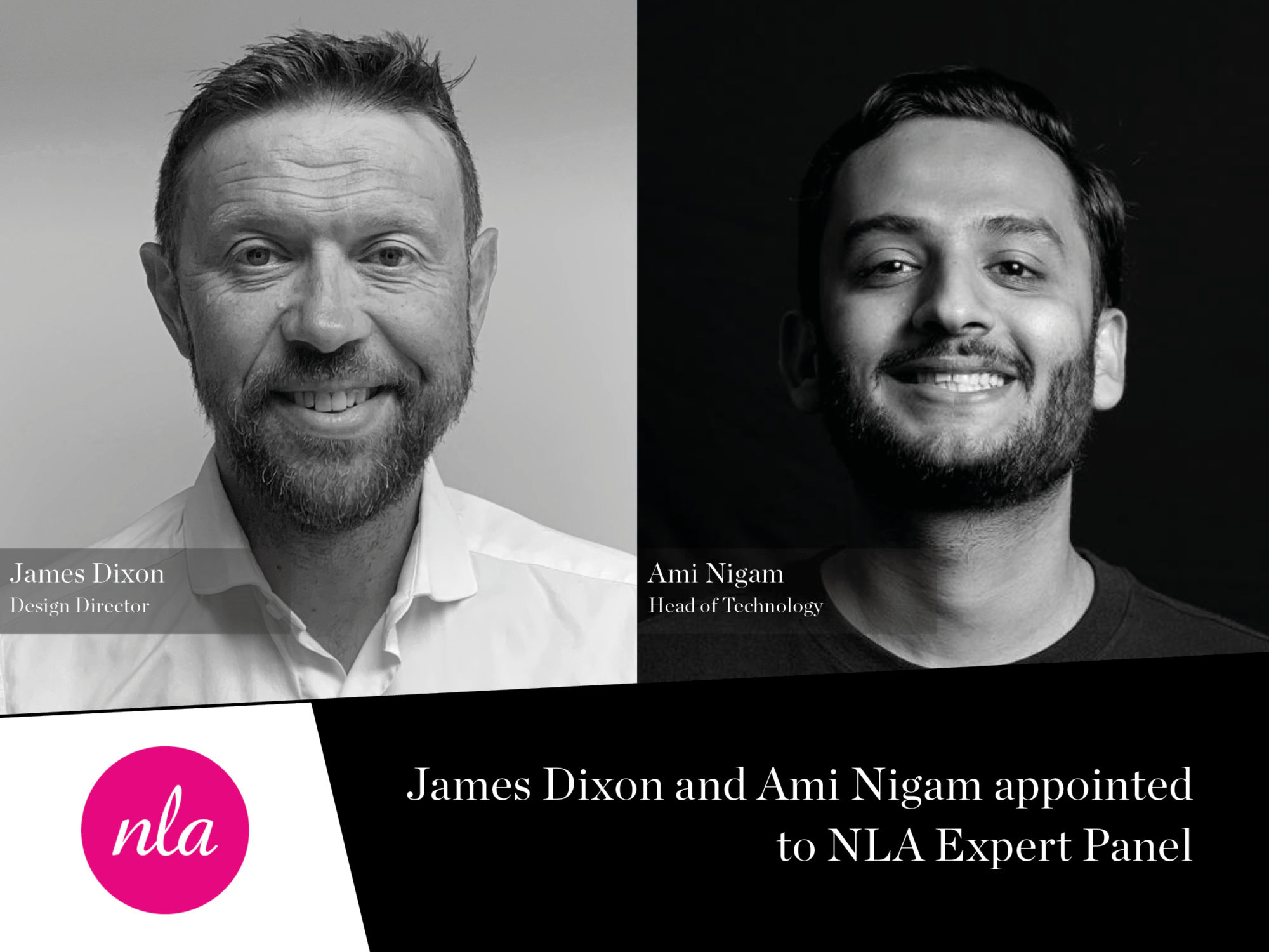 James Dixon and Ami Nigam invited to join NLA Expert Panels | News