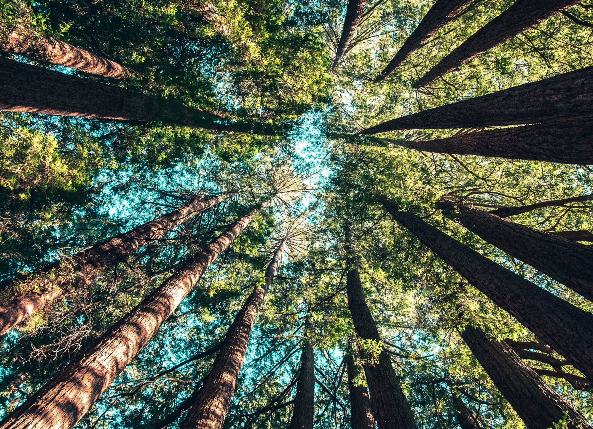 Benoy Landscape Architecture announces new sustainability framework | News