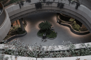 Weave at Resorts World Sentosa featured in The Straits Times | News